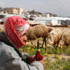 Israeli physicists supply solar and wind power to Palestinian herders ...