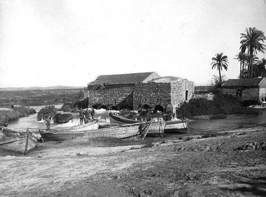 Promoter who raised money for Israeli army to hold Lollapalooza on ...