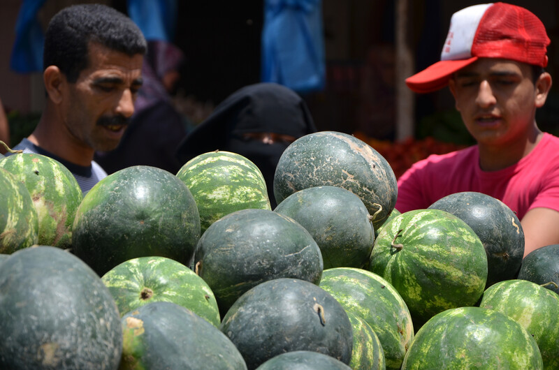 Gaza farmers grow watermelon on former Israeli settlements | The ...