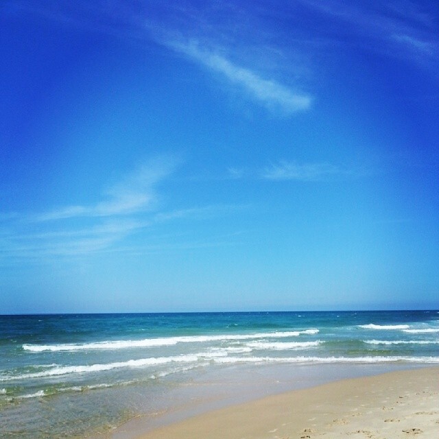 How will I ever look at a Gaza beach the same again? | The Electronic ...