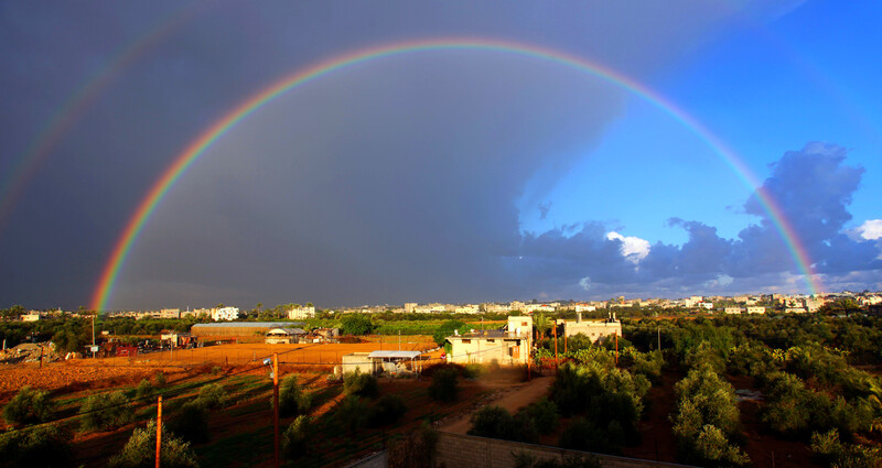 The Month in Pictures: October 2014 | The Electronic Intifada