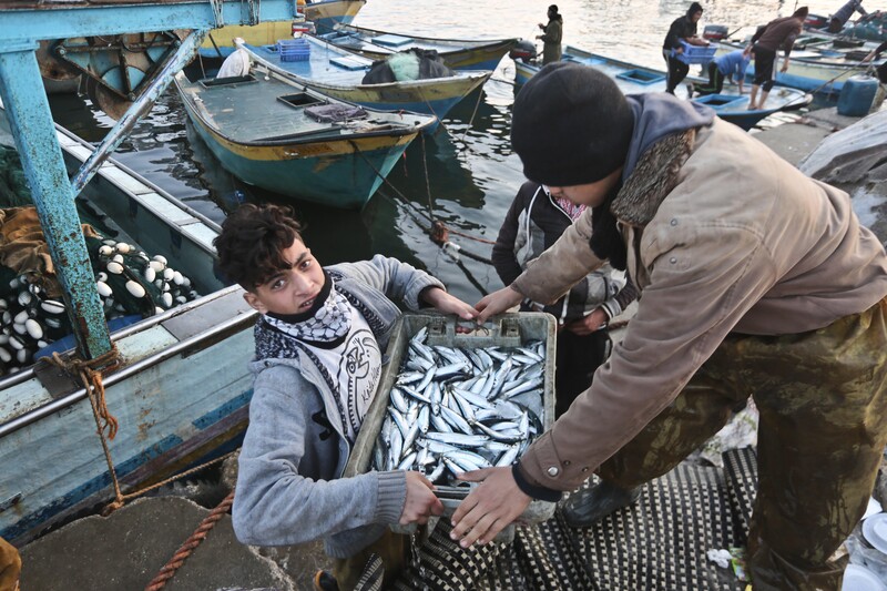 Surviving Israel’s war on Gaza fishers | The Electronic Intifada