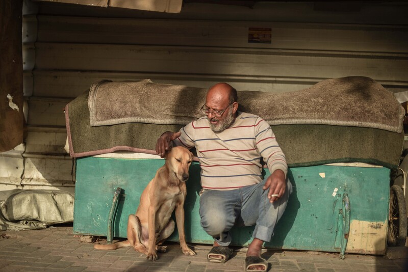 Homeless in Gaza | The Electronic Intifada