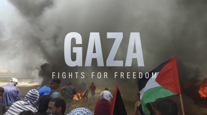 Podcast Ep 12: Gaza Fights for Freedom | The Electronic Intifada
