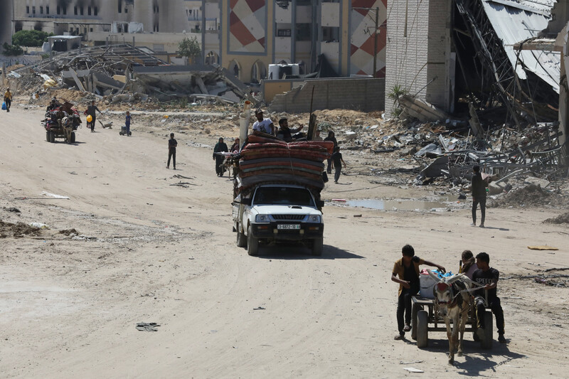 News highlights on week 31 of Israel's genocide in Gaza | The ...