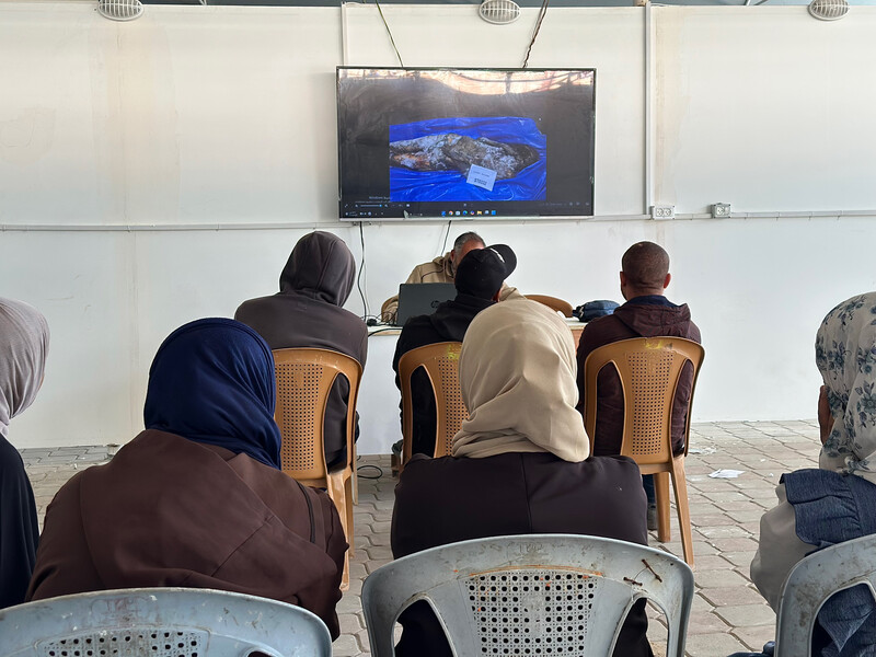 Palestine in Pictures: December 2025 | Defend Democracy Press