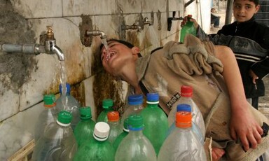 Susan Koppelman | The Electronic Intifada